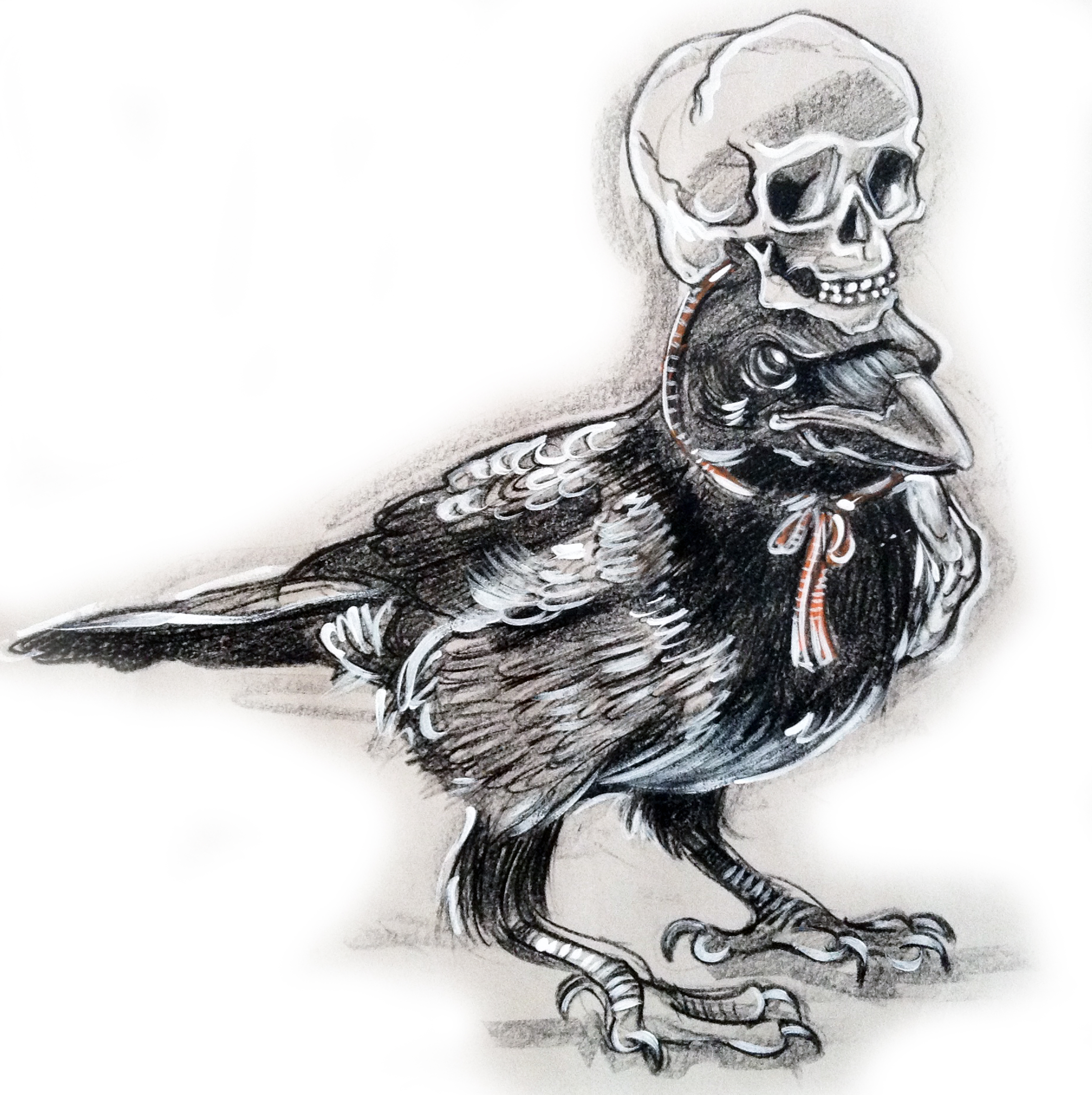 CROW WITH SKULL – © KATARINA THORSEN